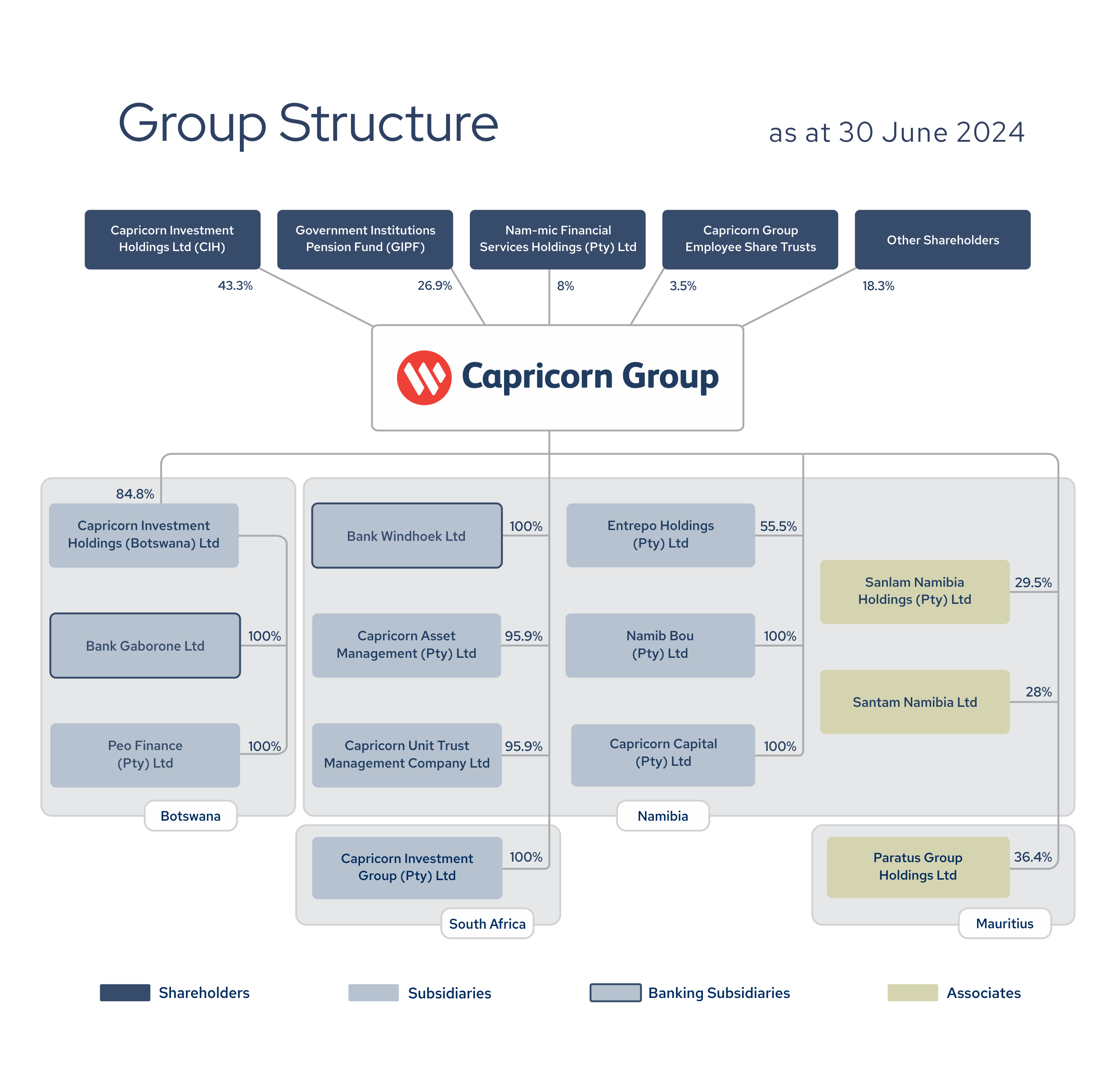 Group Structure | Capricorn Group