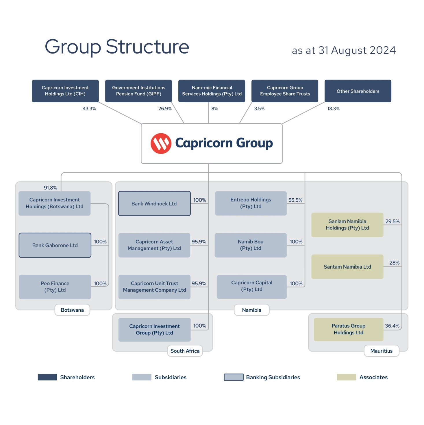 Capricorn Group Structure: Profile, Subsidiaries & Operations