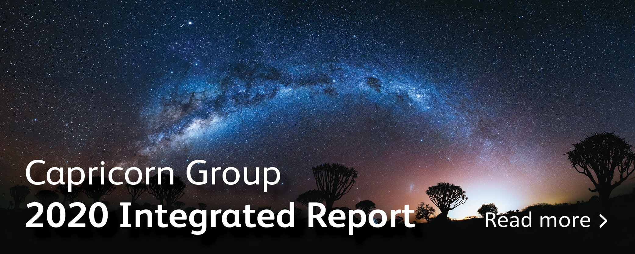 Capricorn Group Annual Results 2020